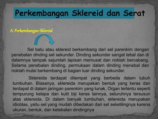 Presentation1 | PPTX