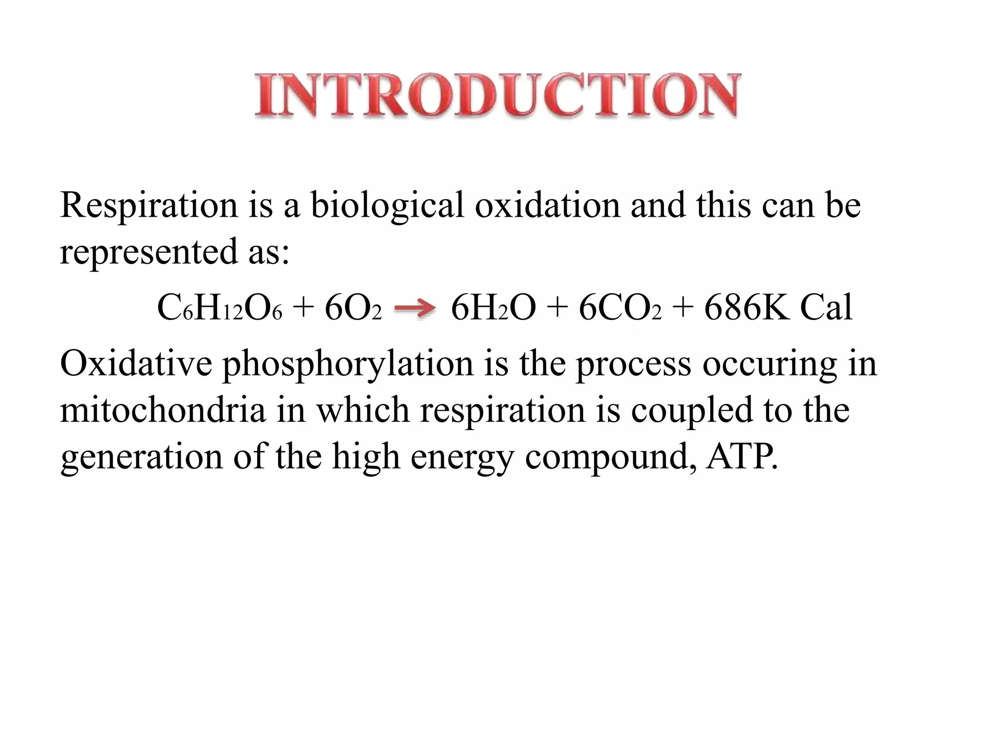 oxidative phosphorylation | PPTX