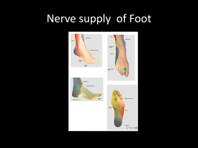 Ultrasound Guided Ankle Block | PPTX | Foot Health | Diseases and ...