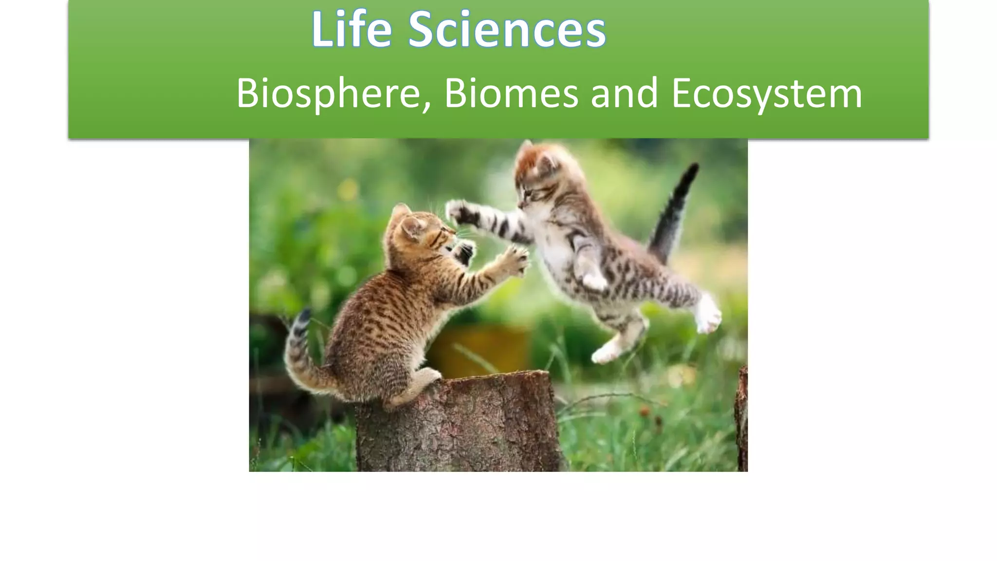 Life Sciences ( Biosphere, Biomes and Ecosystem) | PPTX | Science