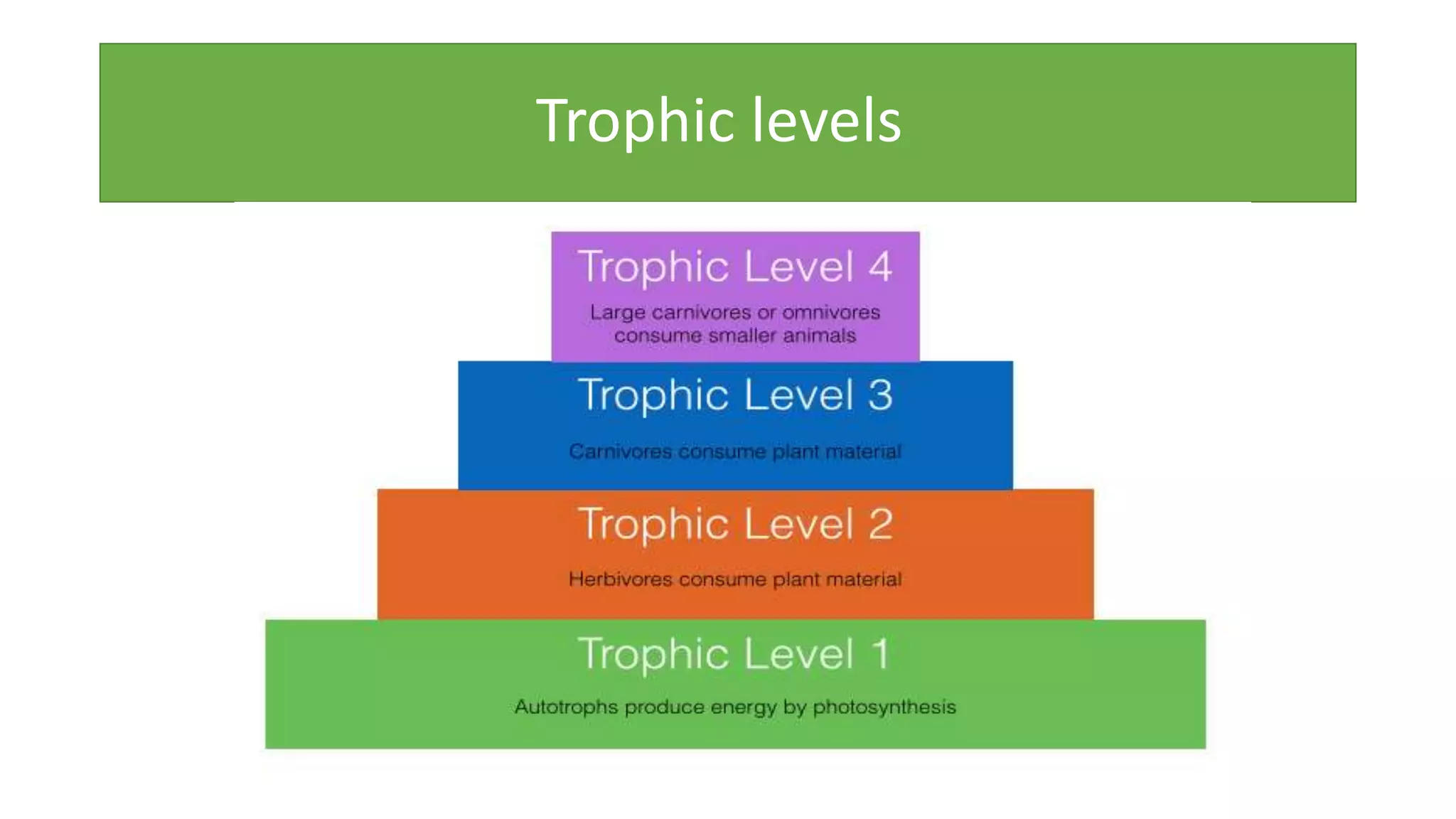 Life Sciences ( Biosphere, Biomes and Ecosystem) | PPTX | Science