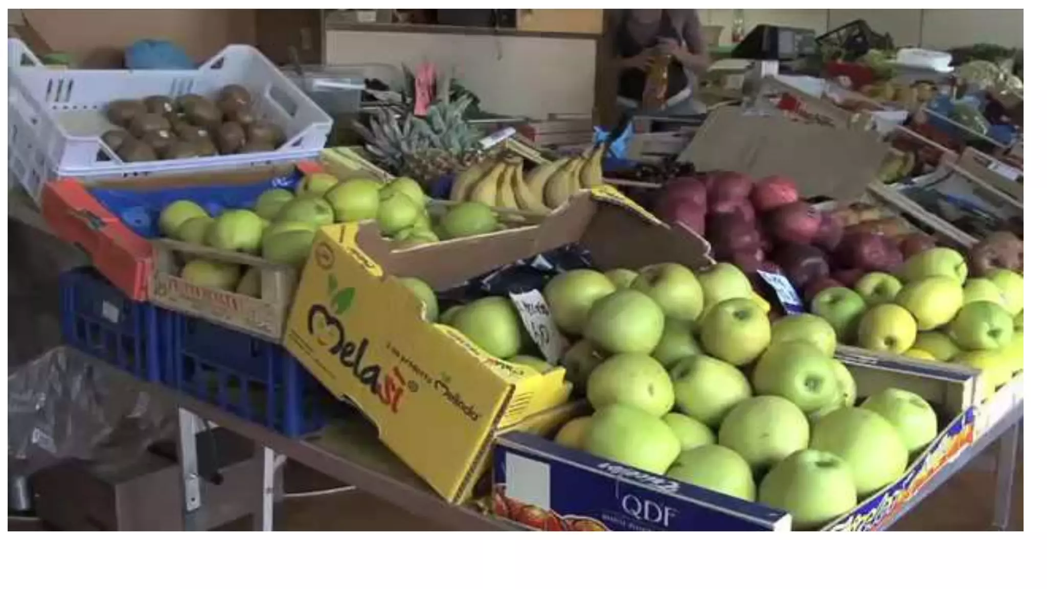 Life Sciences ( Biosphere, Biomes and Ecosystem) | PPTX | Science