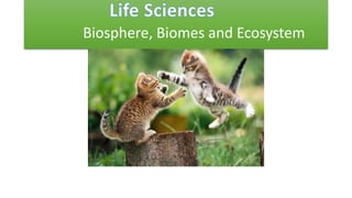 Life Sciences ( Biosphere, Biomes and Ecosystem) | PPTX | Science