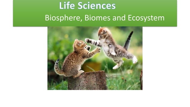 Life Sciences ( Biosphere, Biomes and Ecosystem) | PPTX | Science
