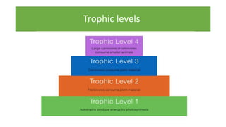 Life Sciences ( Biosphere, Biomes and Ecosystem) | PPTX | Science