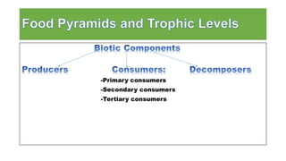 Life Sciences ( Biosphere, Biomes and Ecosystem) | PPTX | Science