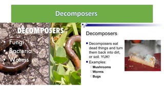 Life Sciences ( Biosphere, Biomes and Ecosystem) | PPTX | Science