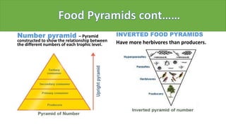 Life Sciences ( Biosphere, Biomes and Ecosystem) | PPTX | Science