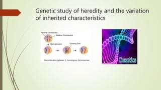 presentation of what is biology | PPTX