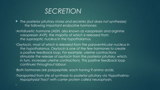 Posterior Pituitary | ODP