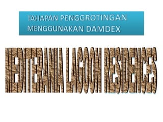 Presentation Damdex | PPTX