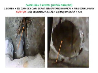 Presentation Damdex | PPTX