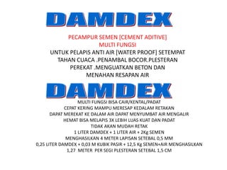 Presentation Damdex | PPTX