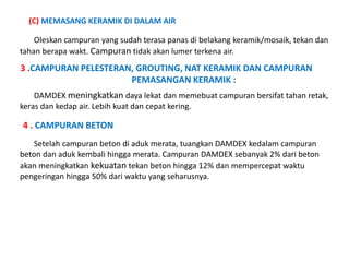 Presentation Damdex | PPTX