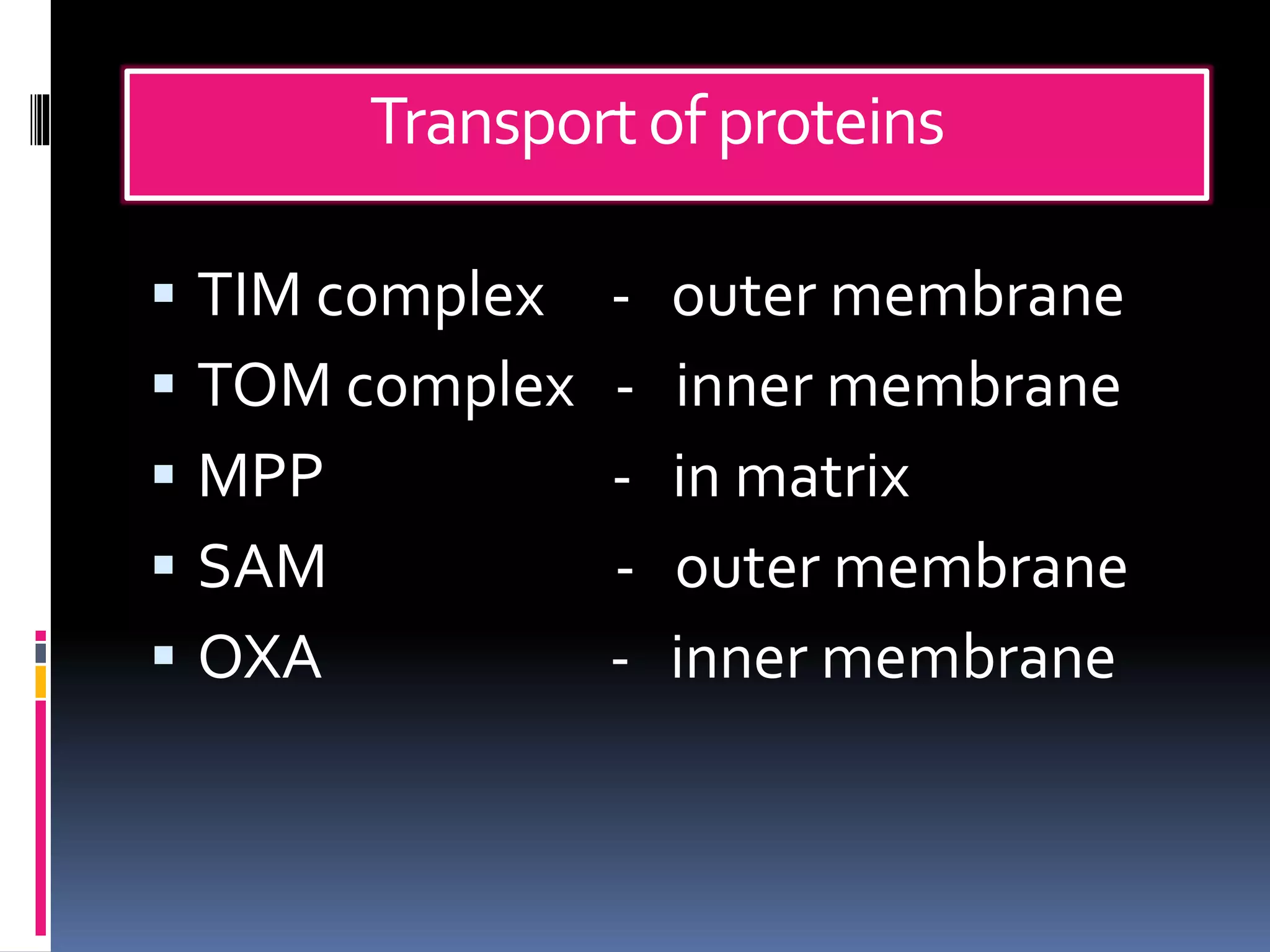 MITOCHONDRIA ,STRUCTURE ,Mt DNA ,PROTEIN TRANSPORT,ETC,OXIDATIVE PHOSPHORYLATION | PPTX