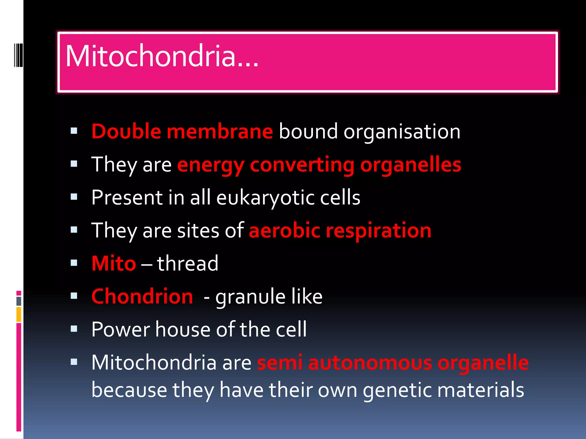 MITOCHONDRIA ,STRUCTURE ,Mt DNA ,PROTEIN TRANSPORT,ETC,OXIDATIVE ...