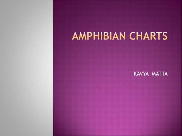 AMPHIBIAN CHARTS | PPTX
