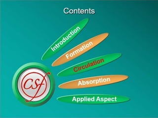 CSF Circulation | PPTX