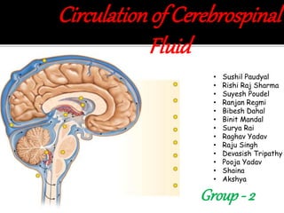Csf Circulation Ppt