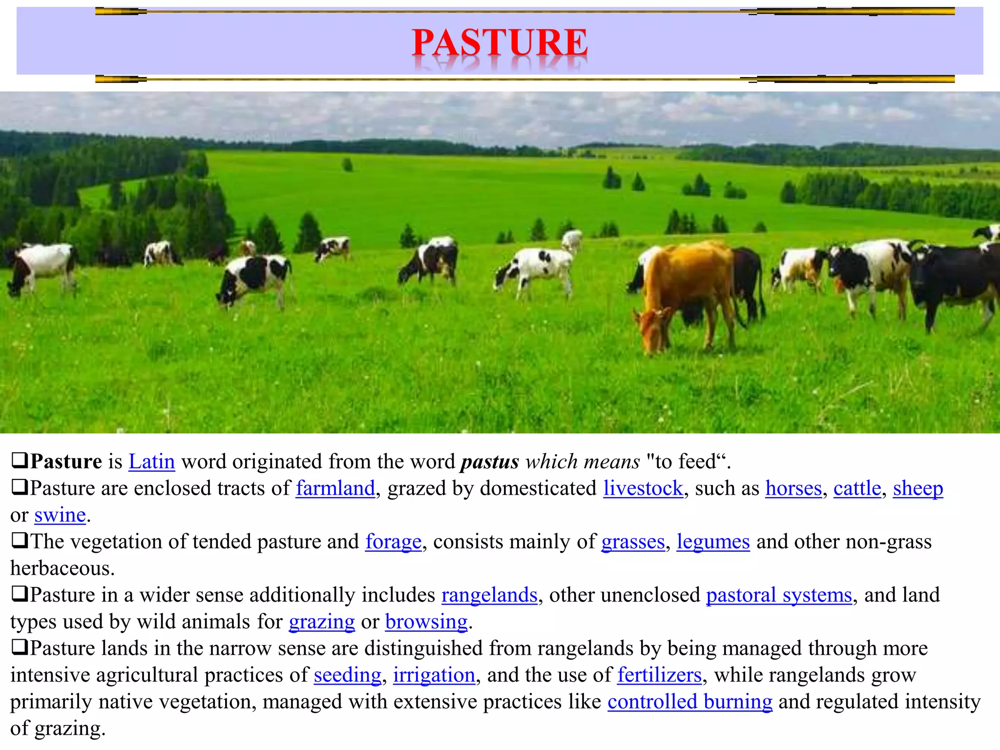 Role of Grasses and Pastures, Wind breaks and Shelter belts in soil ...