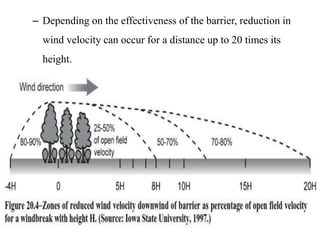 Role of Grasses and Pastures, Wind breaks and Shelter belts in soil ...