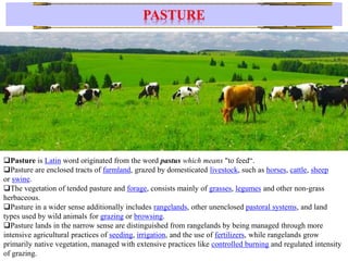 Role of Grasses and Pastures, Wind breaks and Shelter belts in soil ...