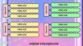 Interesterification | PPTX