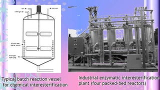 Interesterification | PPTX
