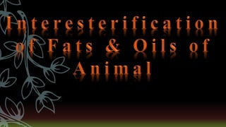 Interesterification | PPTX