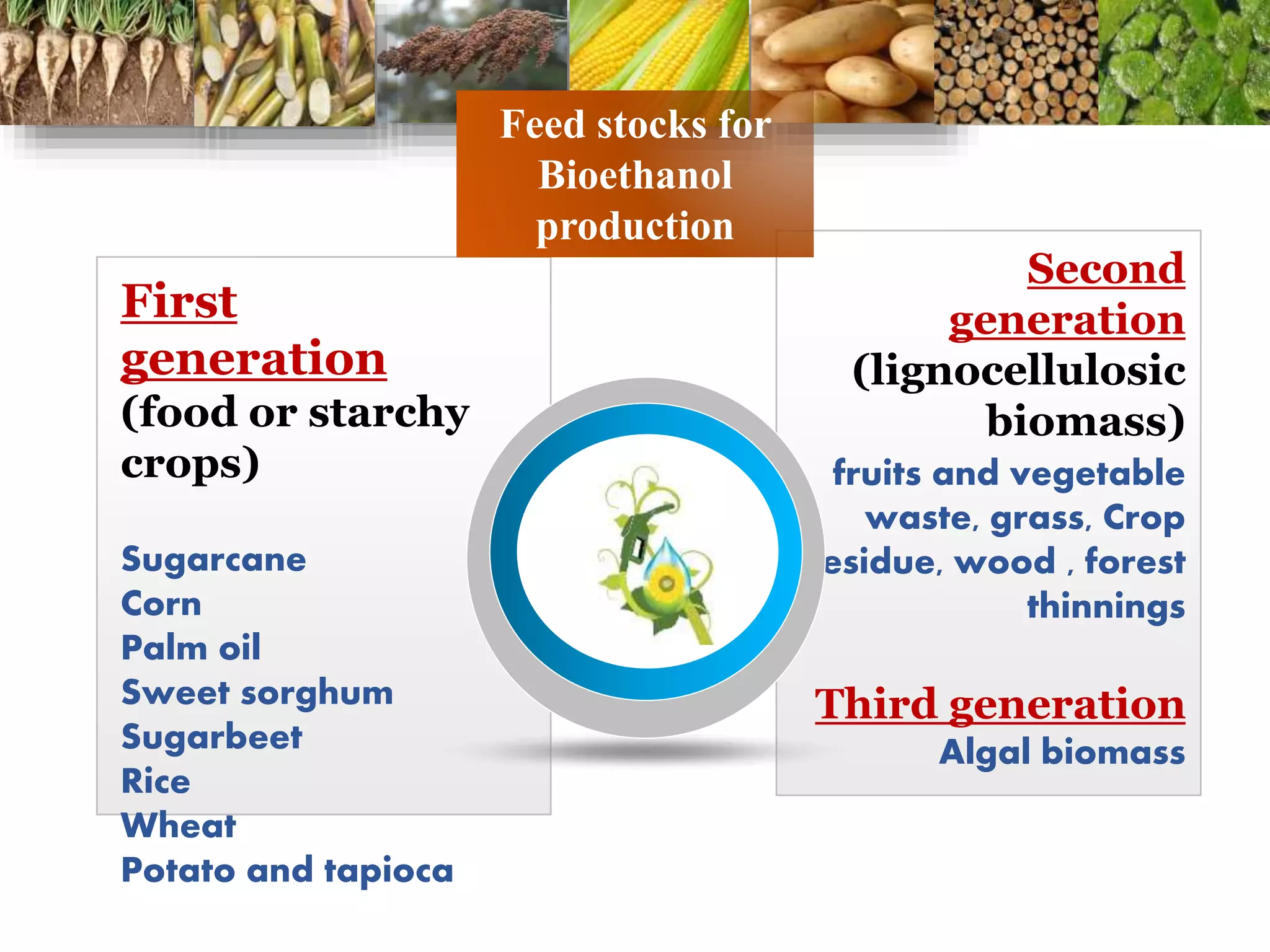 Bioethanol production from fruits and vegetable wastes | PPTX