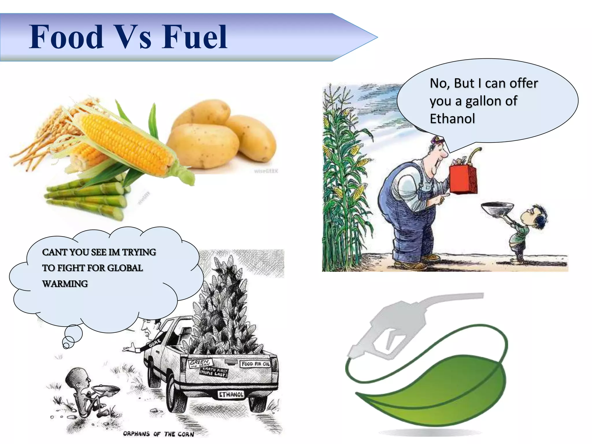 Bioethanol production from fruits and vegetable wastes | PPTX