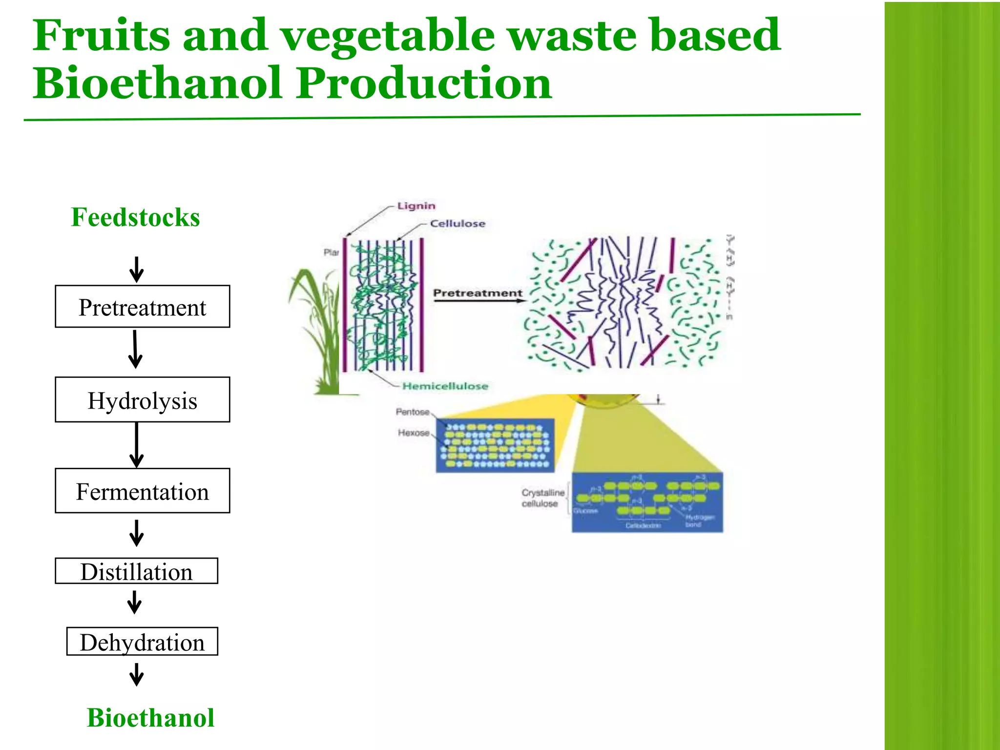 Bioethanol production from fruits and vegetable wastes | PPTX
