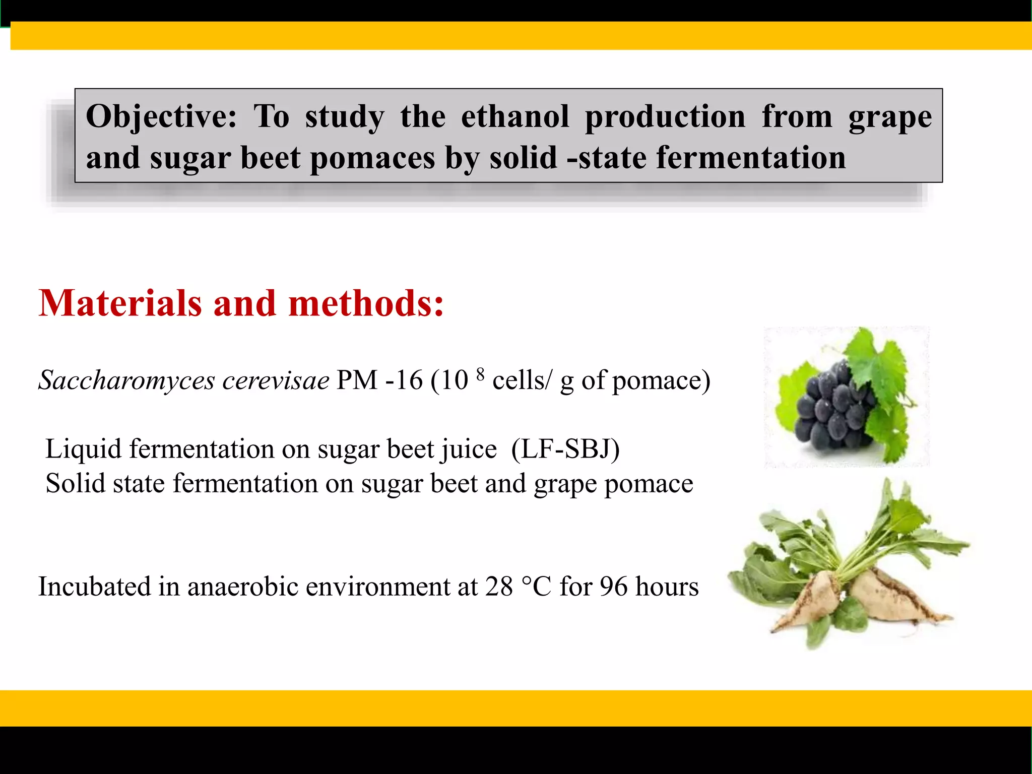 Bioethanol production from fruits and vegetable wastes | PPTX