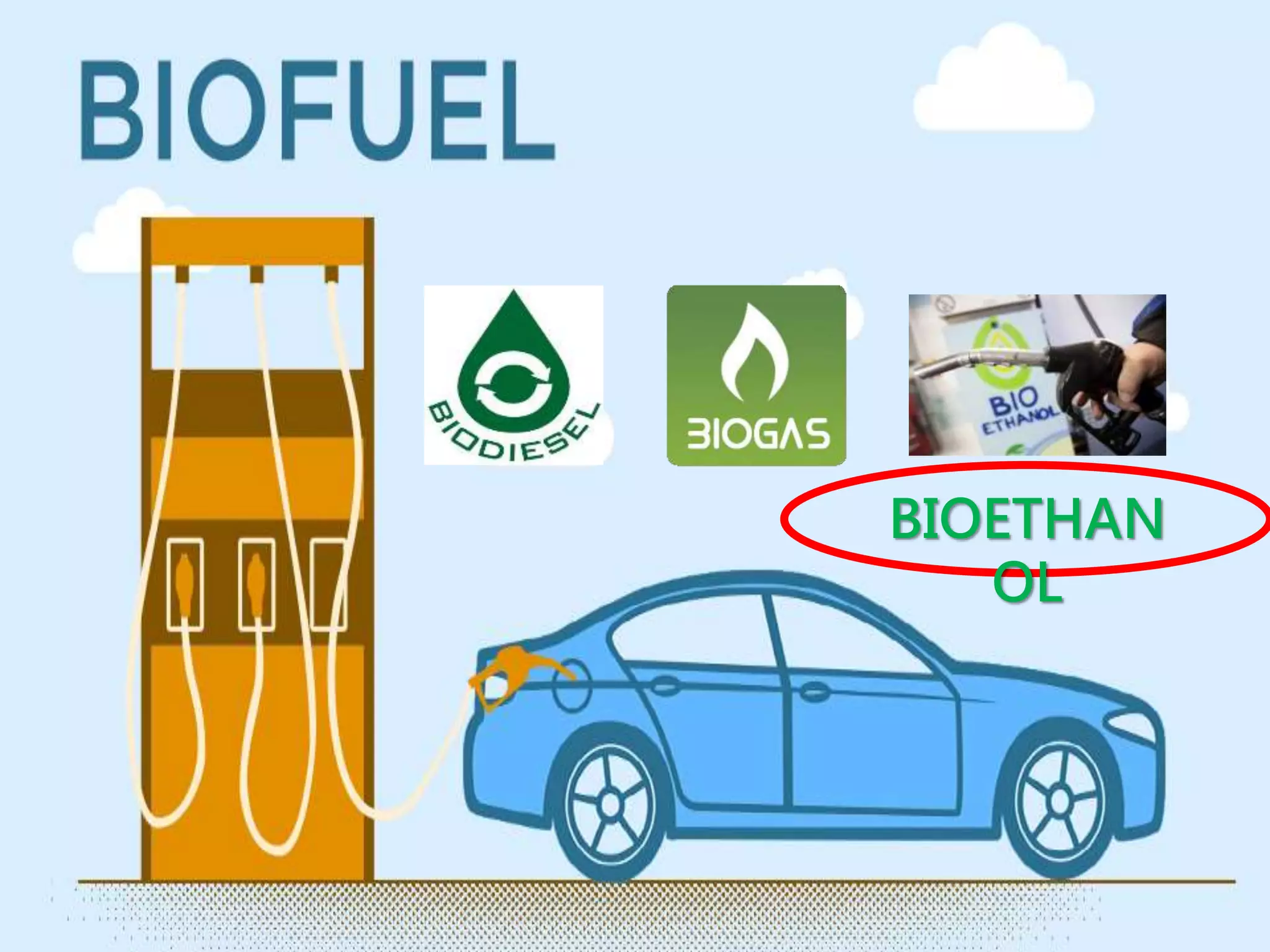 Bioethanol production from fruits and vegetable wastes | PPTX