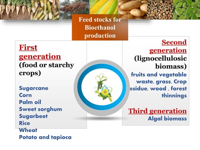 Bioethanol production from fruits and vegetable wastes | PPTX ...