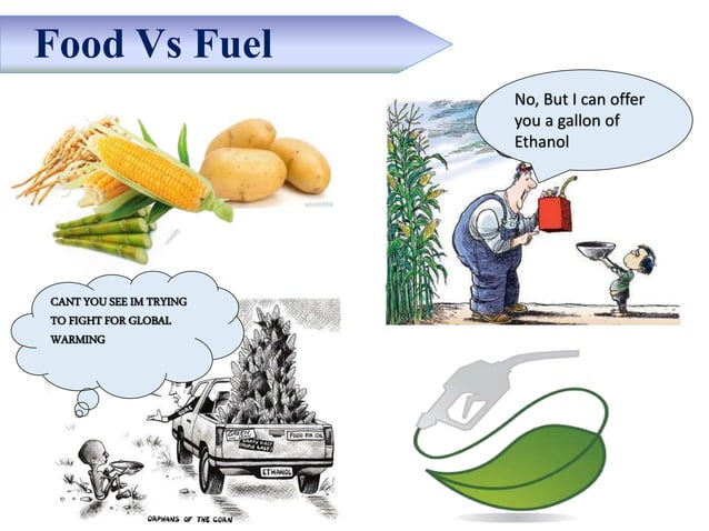 Bioethanol production from fruits and vegetable wastes | PPTX ...