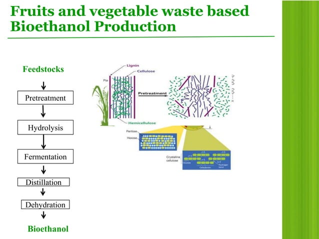 Bioethanol production from fruits and vegetable wastes | PPT
