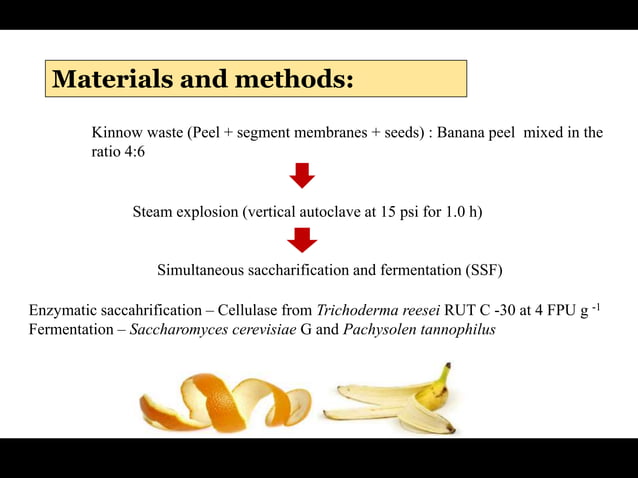 Bioethanol production from fruits and vegetable wastes | PPTX ...