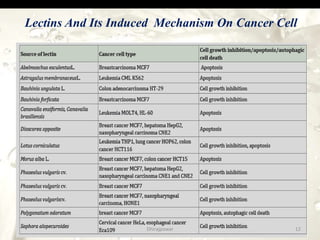 LECTINS IN CANCER THERAPY | PPTX