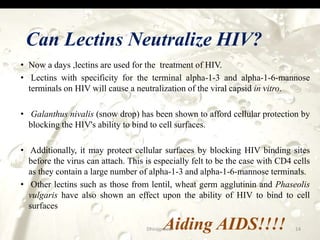 LECTINS IN CANCER THERAPY | PPTX