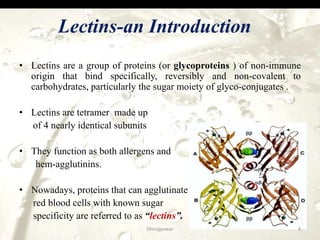 LECTINS IN CANCER THERAPY | PPTX