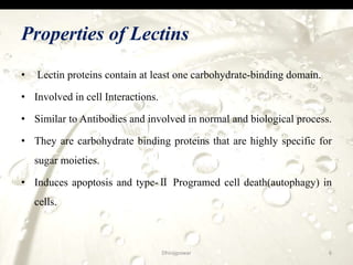 LECTINS IN CANCER THERAPY | PPTX