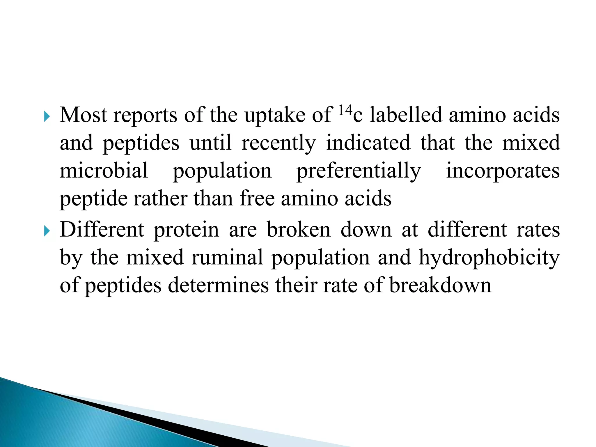 PROTEIN METABOLISM IN RUMINANTS | PPTX