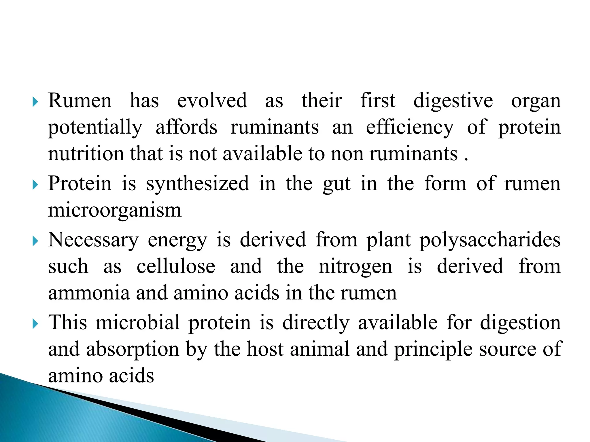 PROTEIN METABOLISM IN RUMINANTS | PPTX