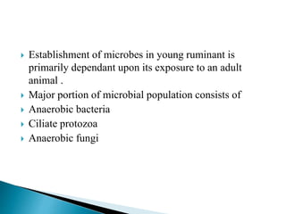 RUMEN MICROBIAL ECOSYSTEM | PPTX