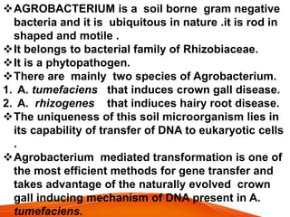 Agrobacterium mediated gene transfer | PPTX