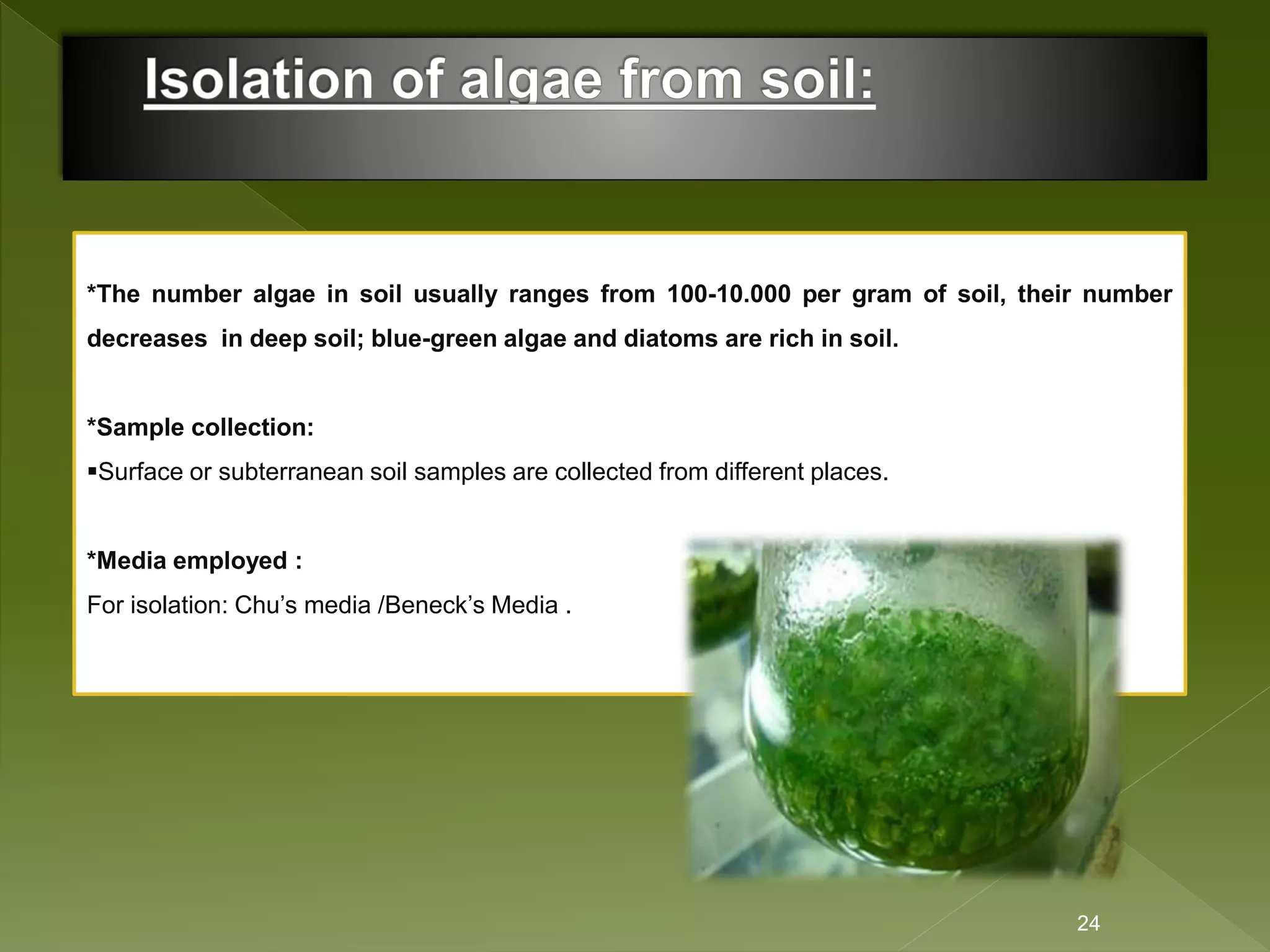 Isolation Of Algae | PPTX