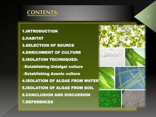 Isolation Of Algae | PPTX