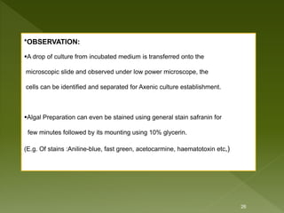 Isolation Of Algae | PPTX