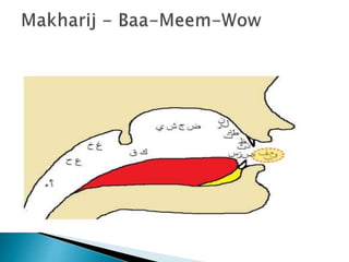 Presentation1 on Makharij | PPTX